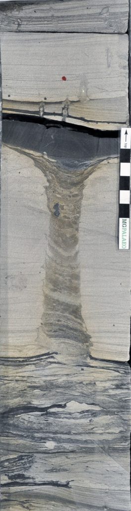 Marine Incursions over the Mungaroo Formation - MGPalaeo