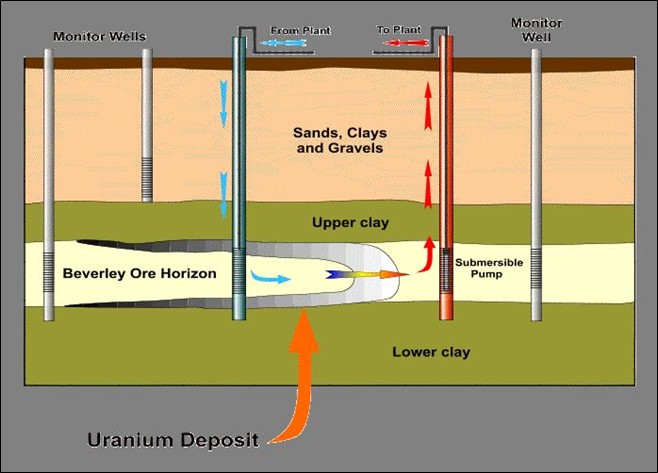 Case Studies - MGPalaeo