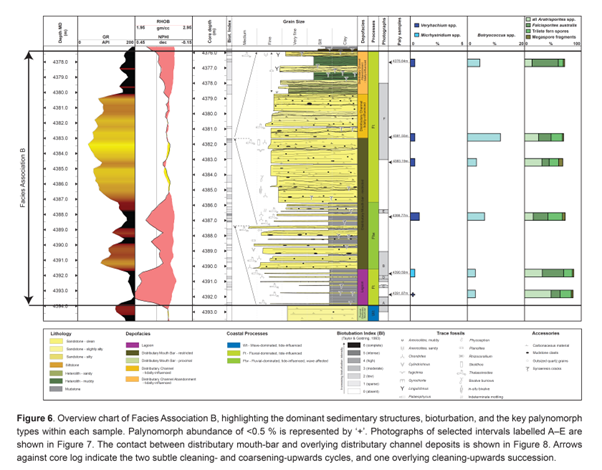 Facies-B – MGPalaeo
